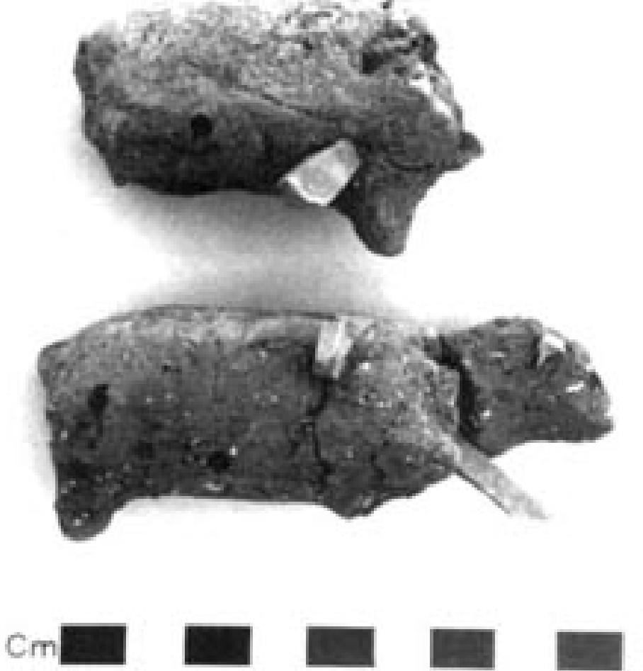 Mppnb clay cattle figurines. note lower object was pierced