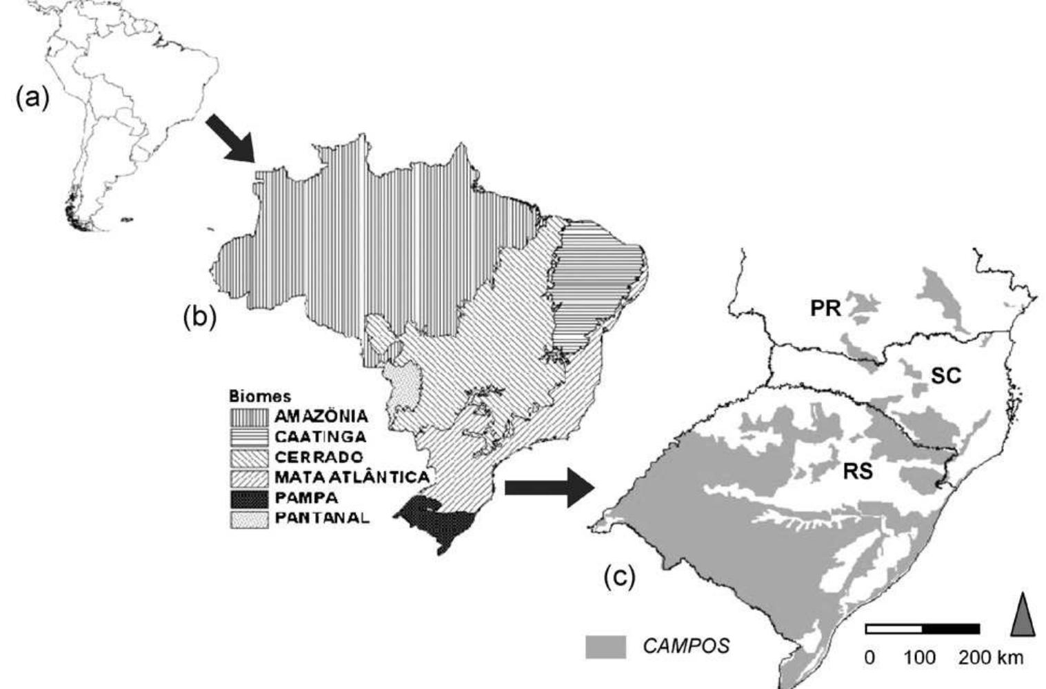 Figure 1 - from Brazil's neglected biome: The South