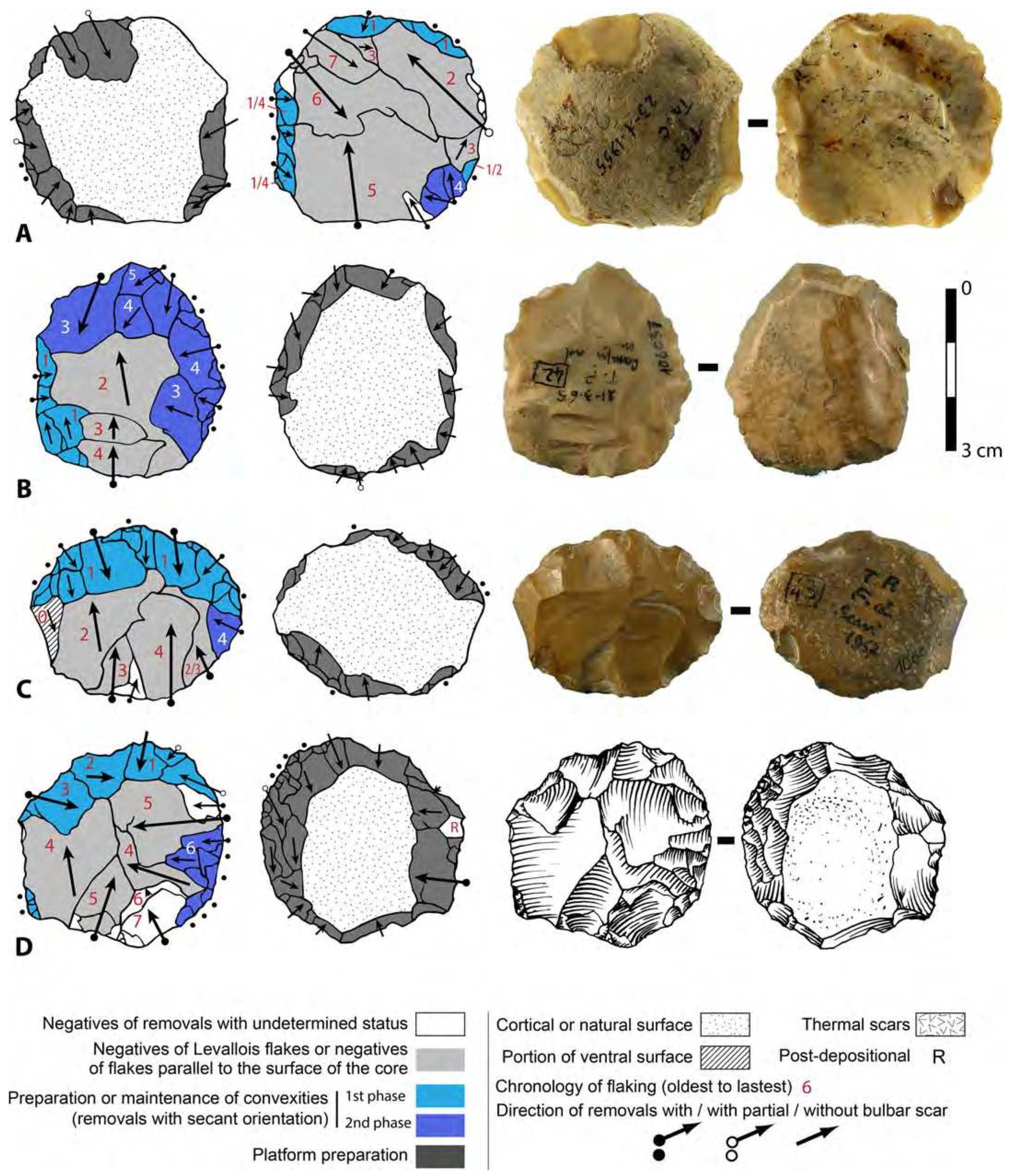 Torre in pietra, level d. levallois cores. the chronology of