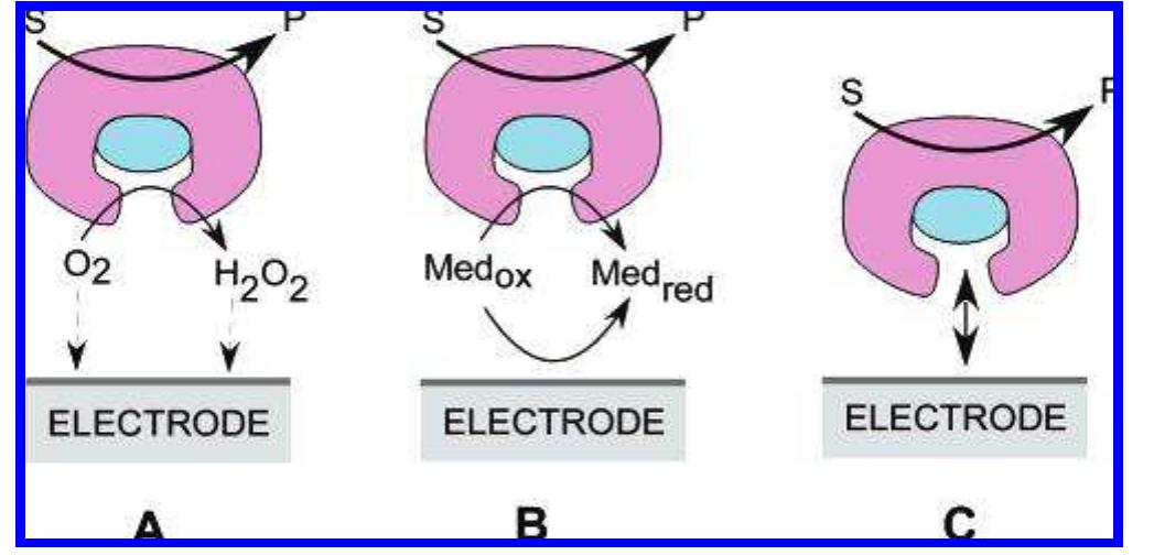 Three generations of amperometric enzyme electrodes for