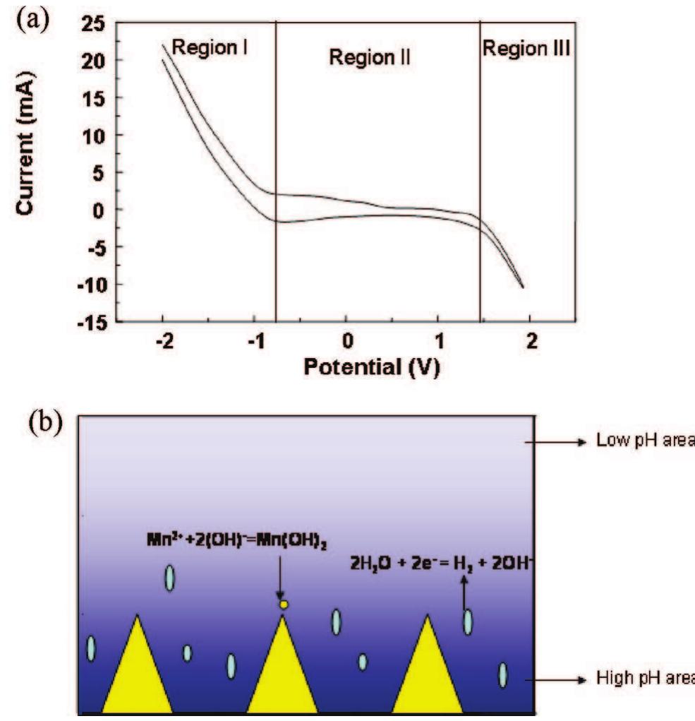 (a) cyclic voltammetry curve of a 0.1 m sodium sulfate