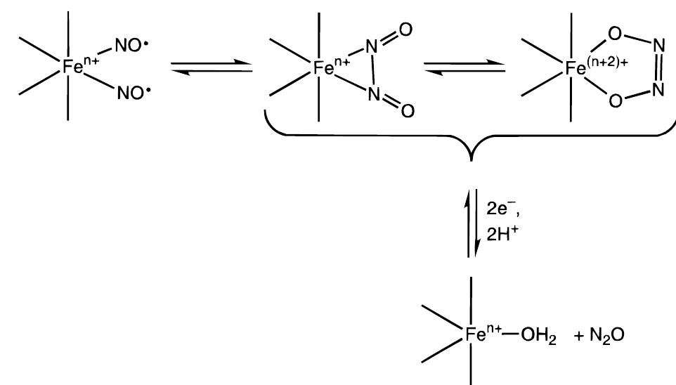 Possible mechanism for reductive coupling of two nitric