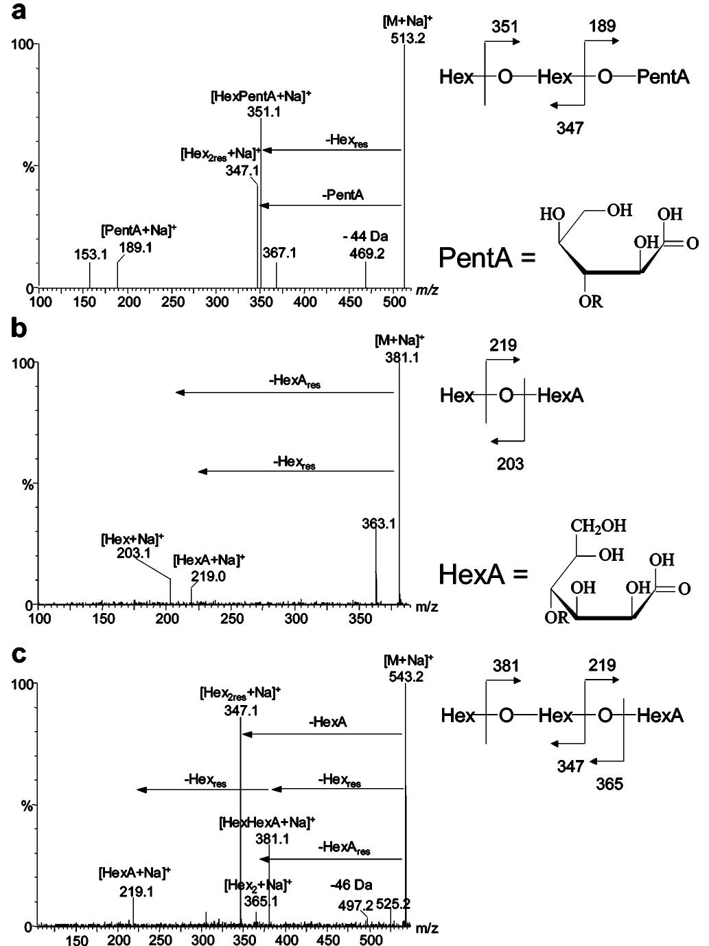 Esi-ms/ms spectra of [m +na]* adducts and schemat