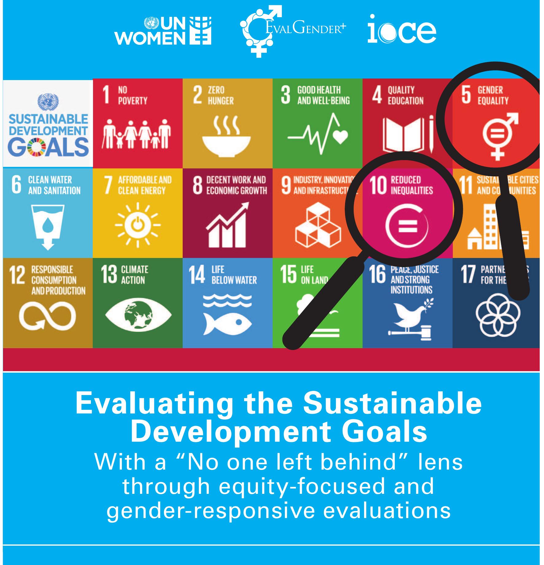 Figure 1 - Evaluating the Sustainable Development Goals with