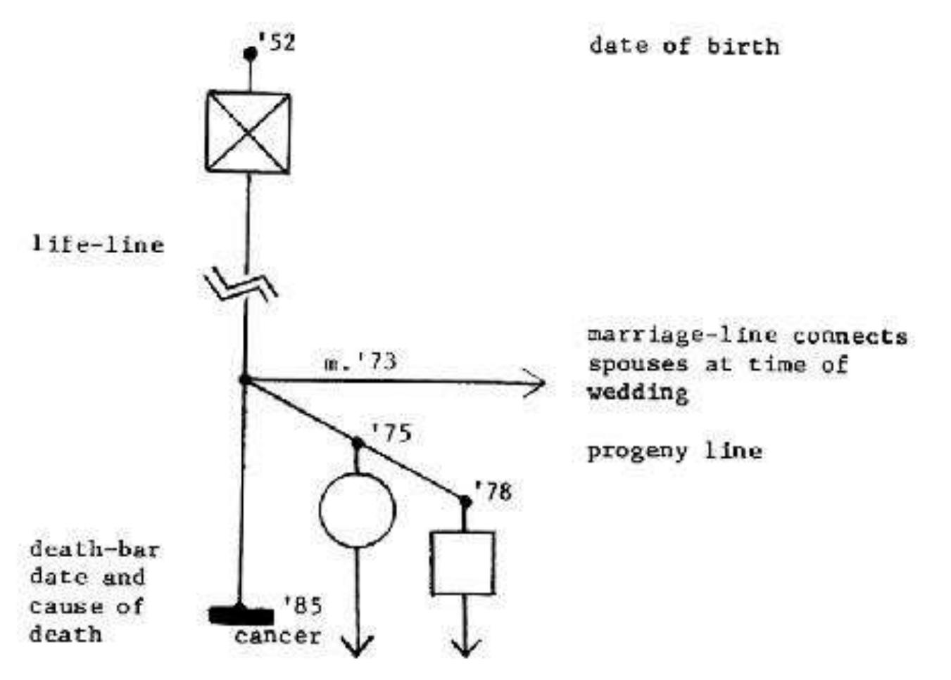 Figure 3 - The TimeLine Genogram: Highlighting Temporal