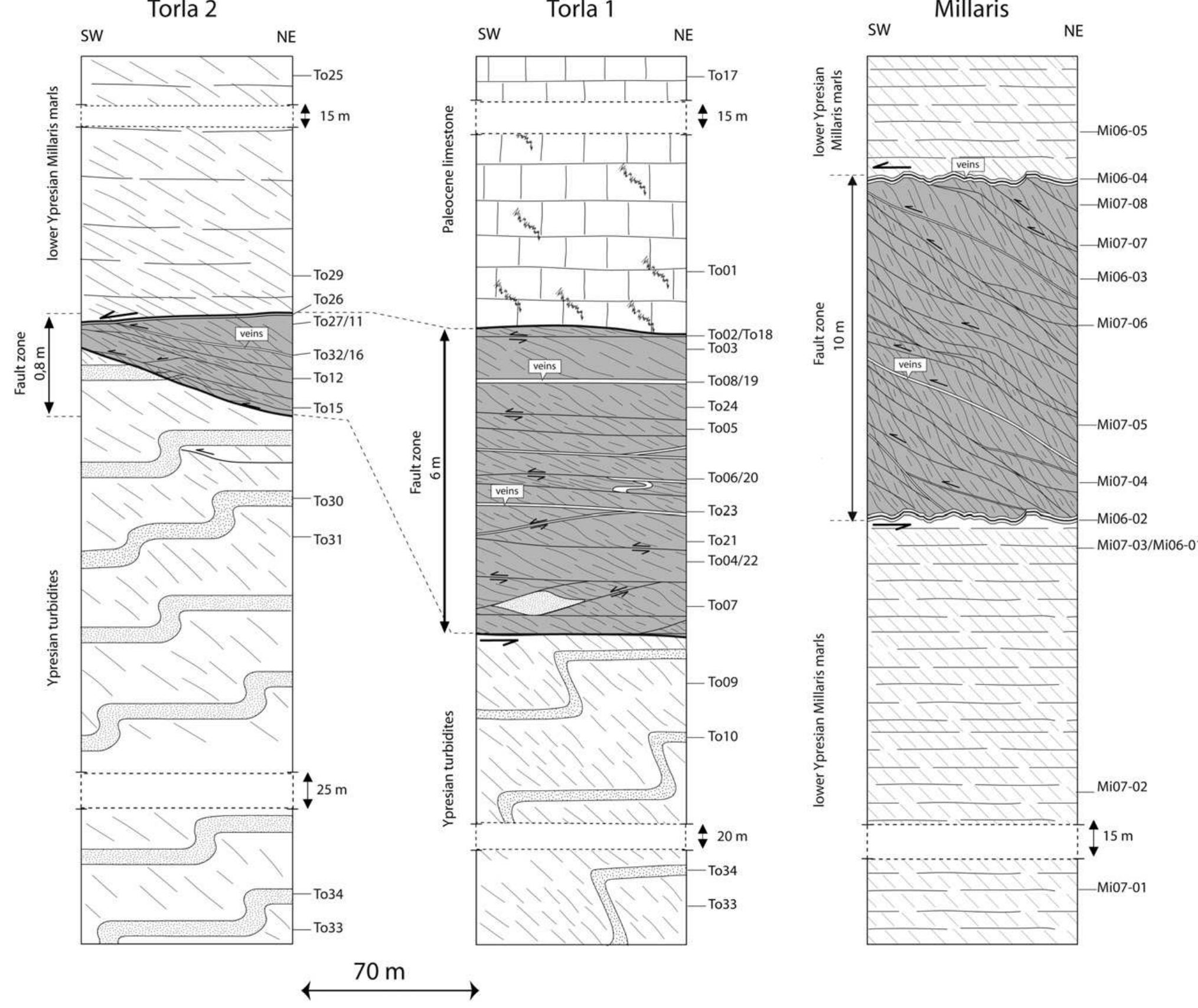 Schematic diagrams of the structural organization of the