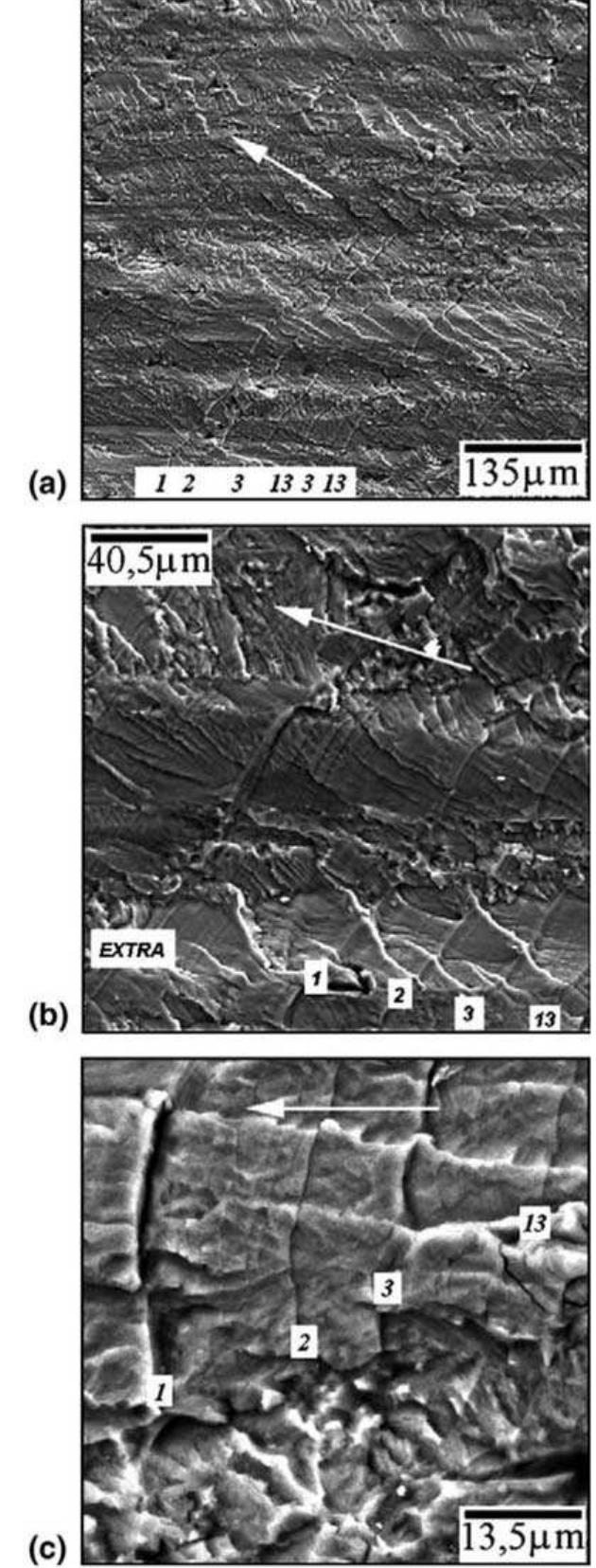 Sem-microfractographs taken from the fracture surface of the
