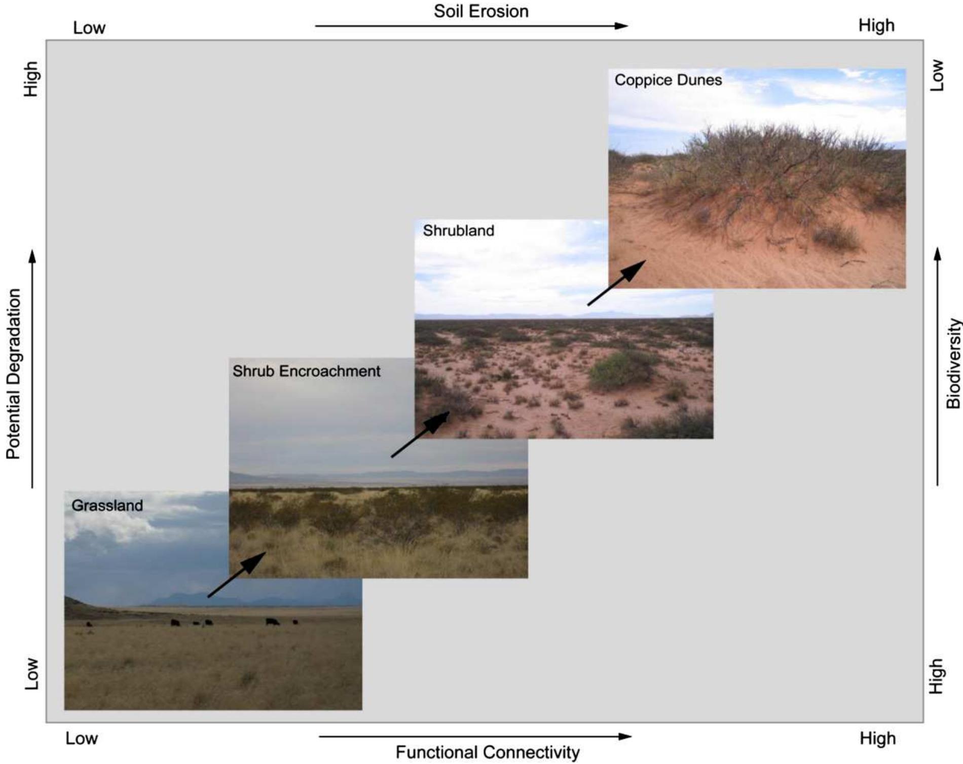 Figure 7 - from Land degradation in drylands: Interactions