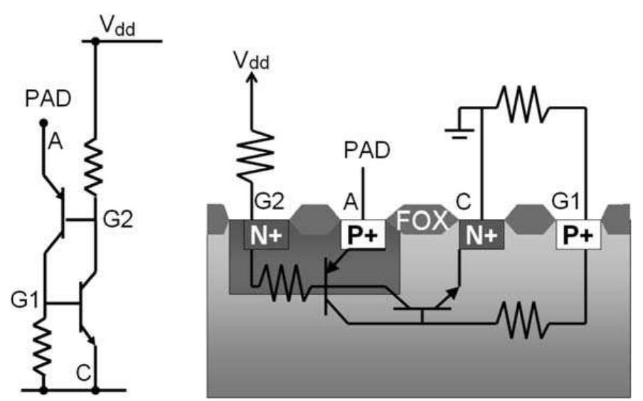 Schematic and cross-section of the esd-on-scr. the g2 node
