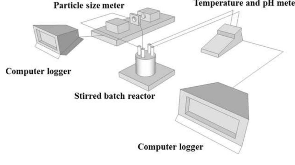 Figure 2 - Modeling limestone reactivity and sizing the