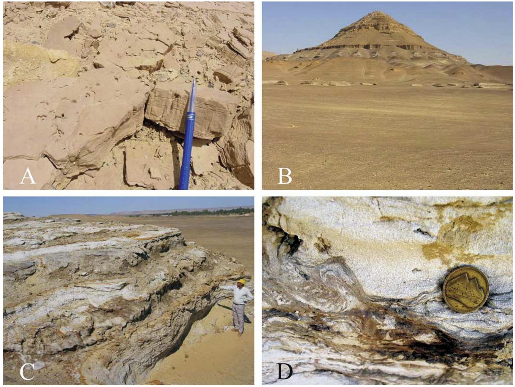 Field photographs showing: (a) crevasse splay sandstone with