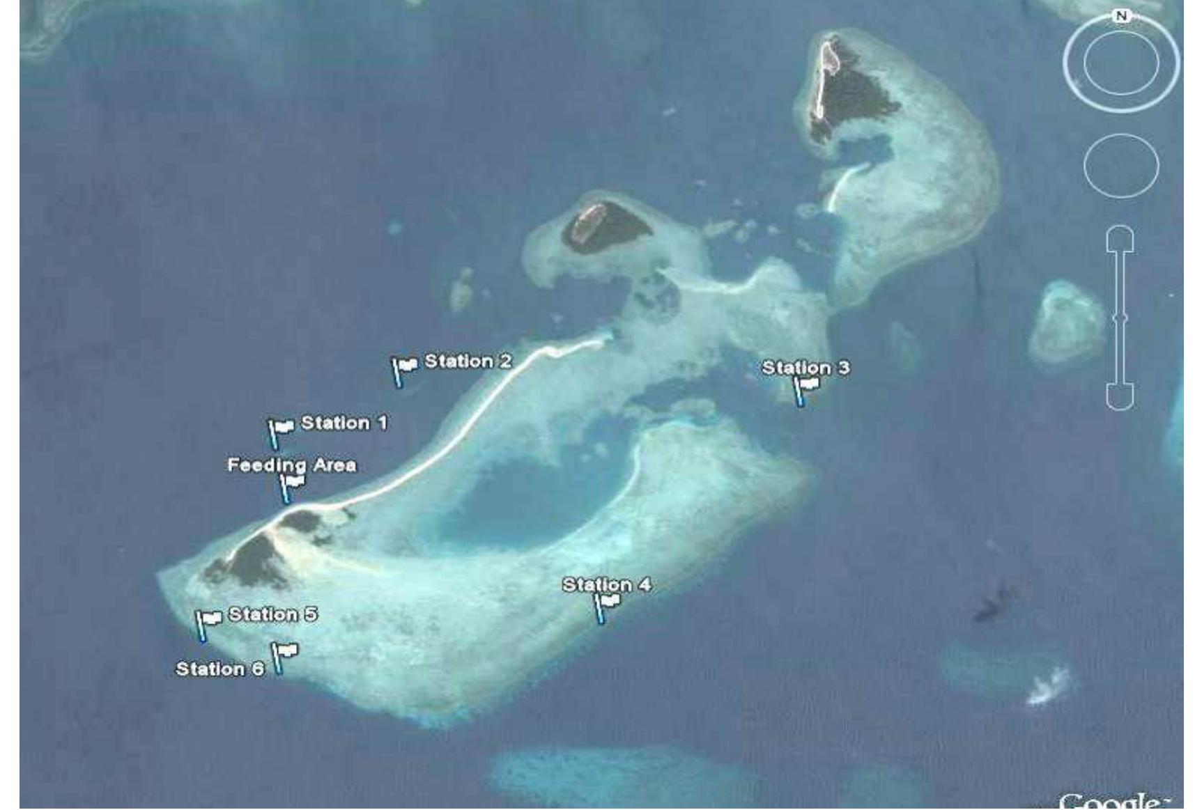 Google earth map of snake island, showing the locations of