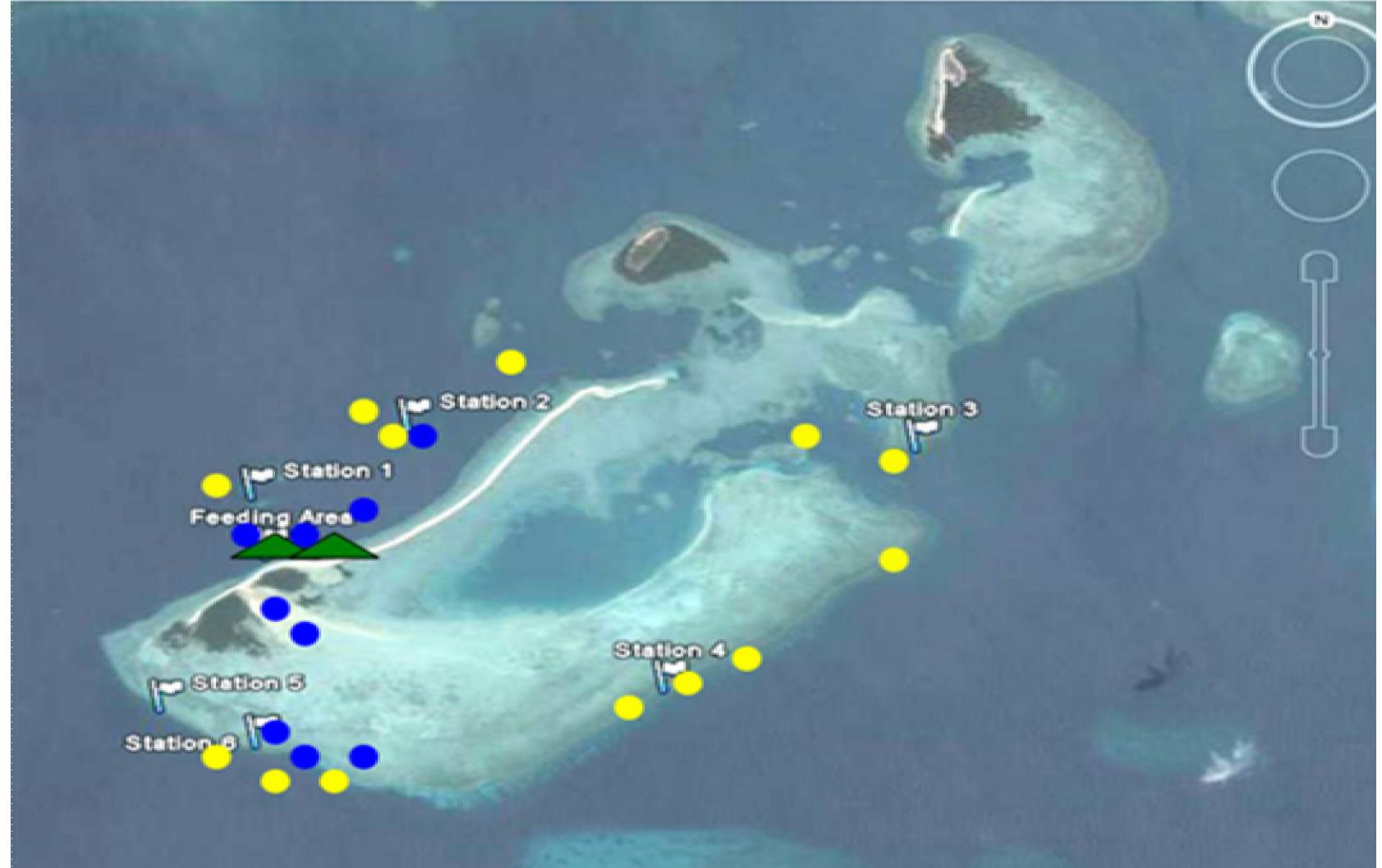 Figure 5 - from Marine resource assessment for sustainable