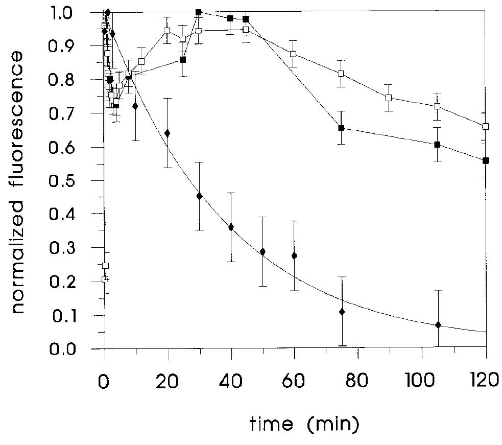 Fluorescence kinetic profile of icg in whole blood as a