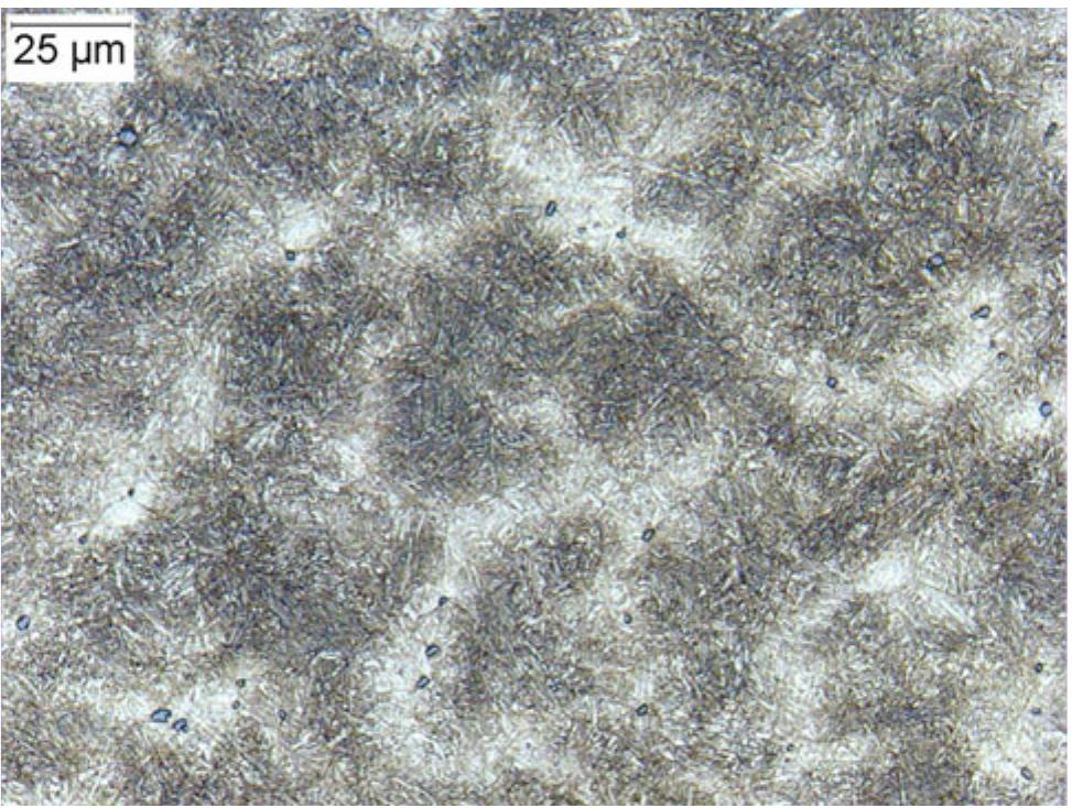 Optical micrograph of a transverse section of a different