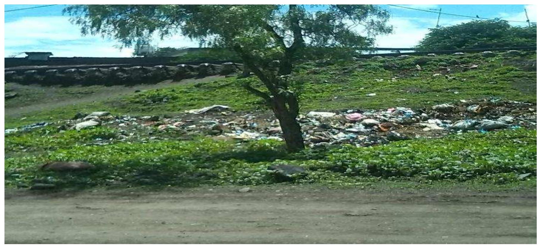 2 illegal solid waste disposals about 10% of generated solid