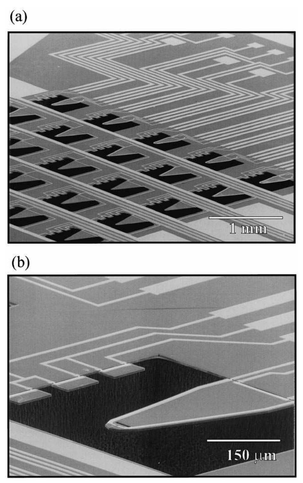 Scanning electron microscope images of cantilever array