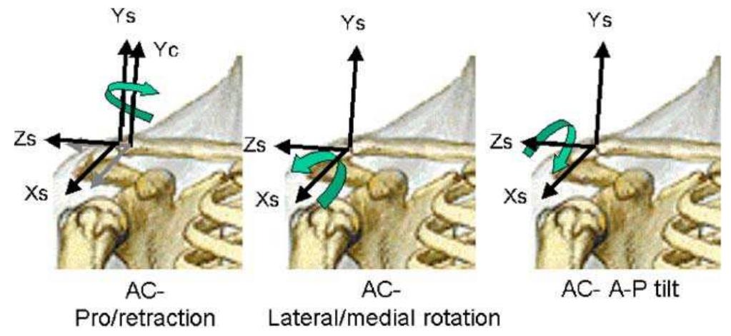 Scapula coordinate system and definition of ac motions. y,