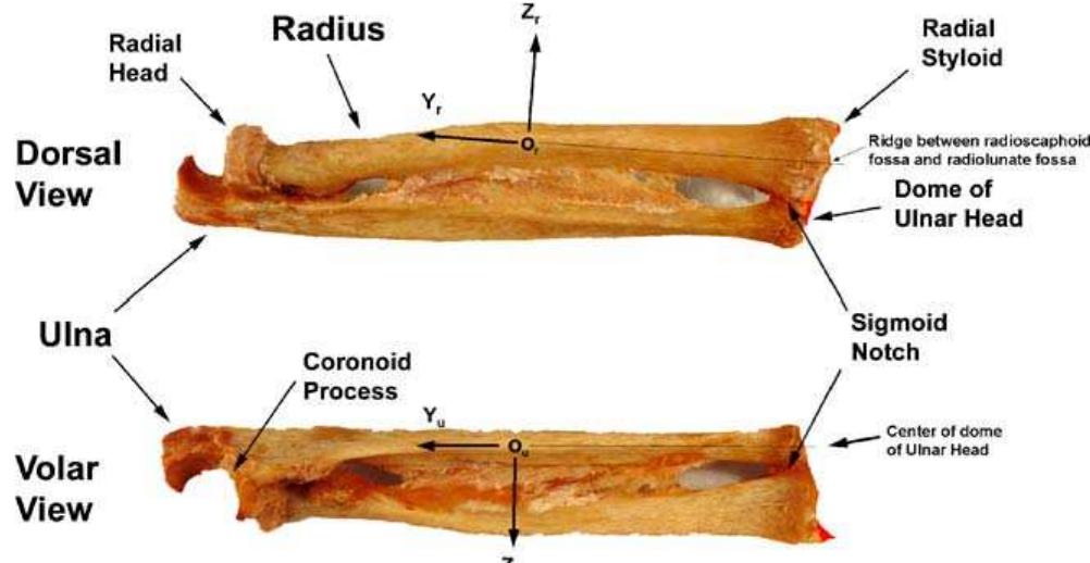 Figure 8 - from ISB recommendation on definitions of joint