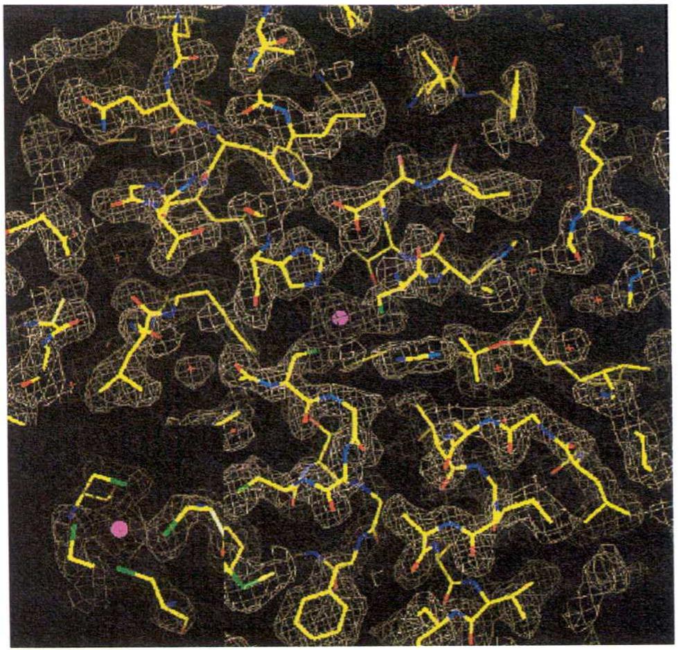 Electron density maps. final electron density map (3f;,,