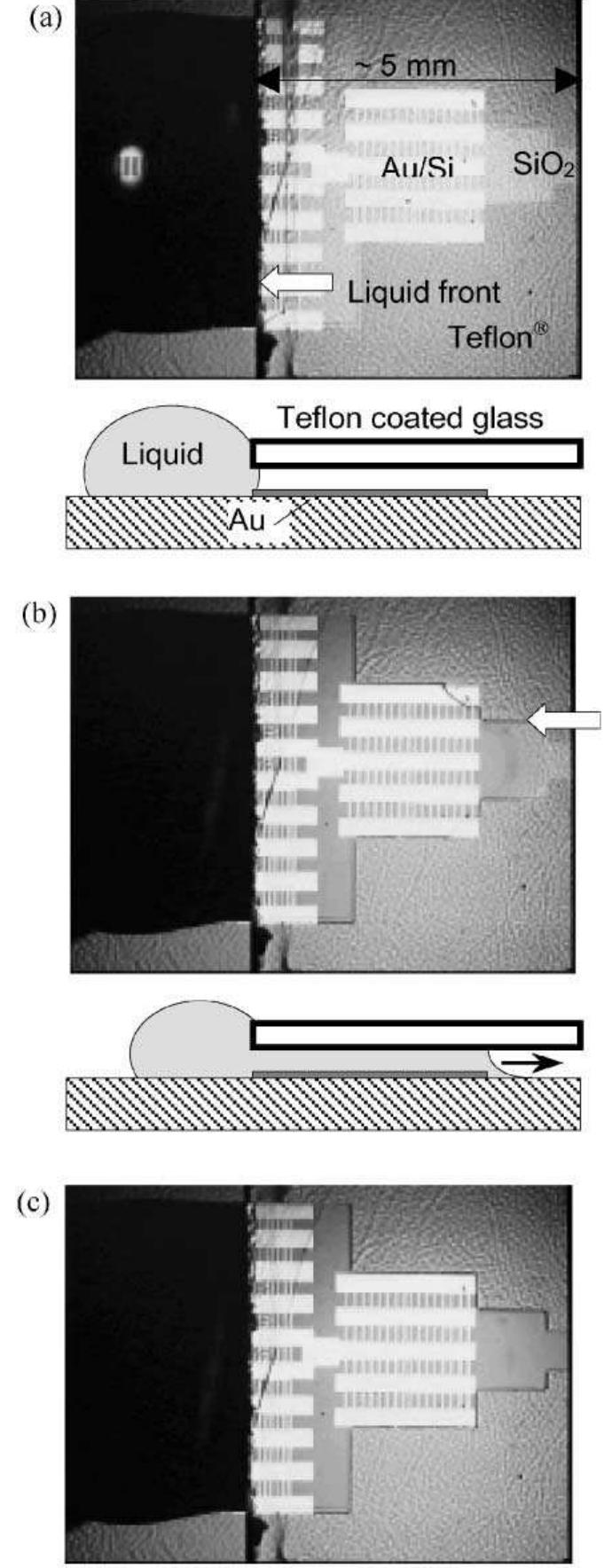 Introduction of liquid over hydrophobic electrode (au) using