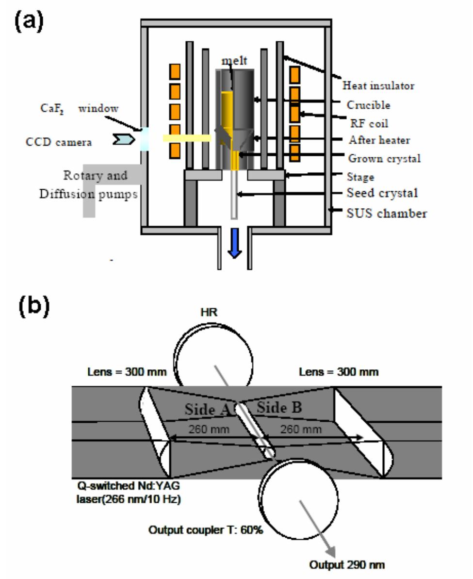 (a) schematic diagram of the micro-pulling down apparatus