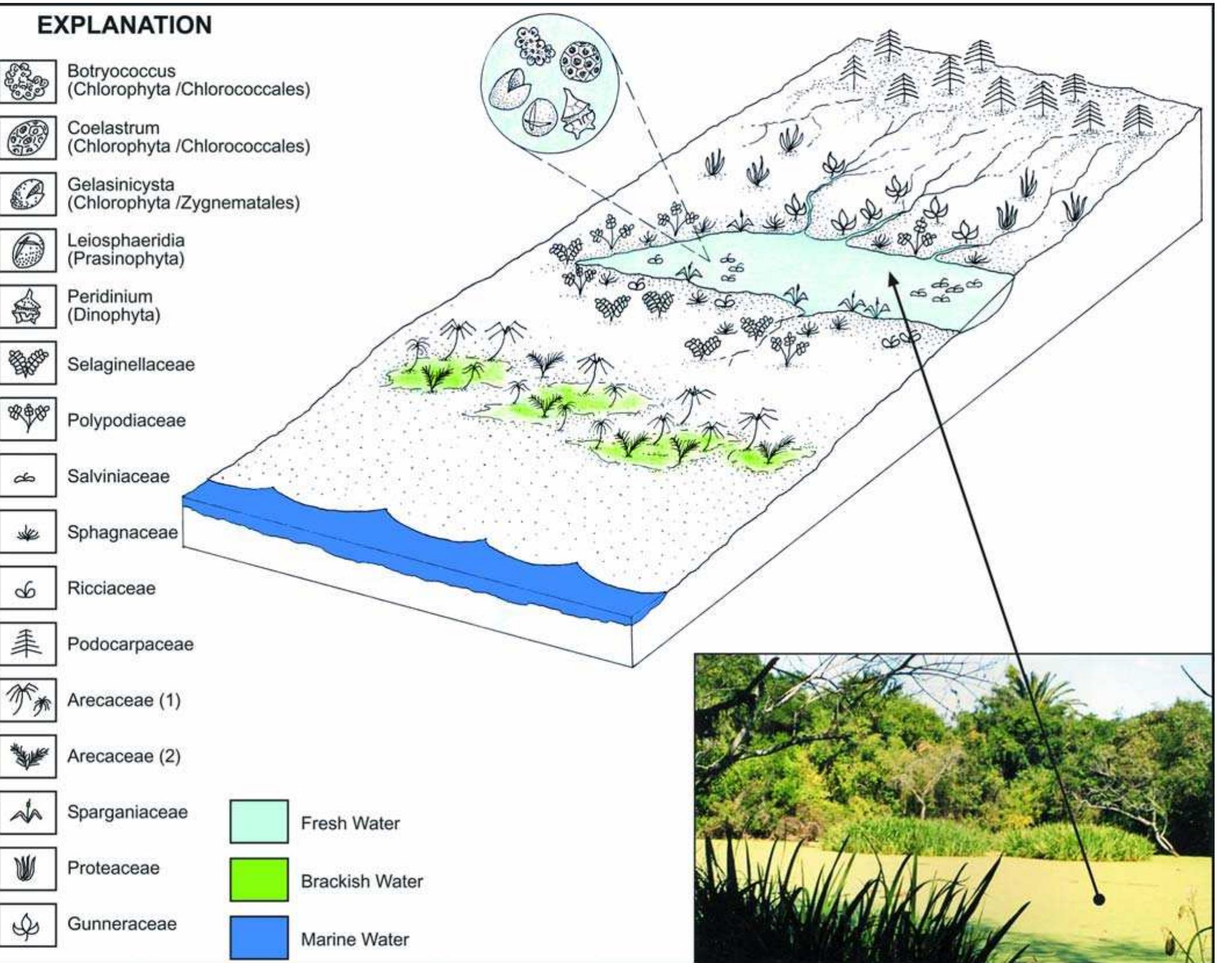 Blockdiagram showing a schematic paleotopography and