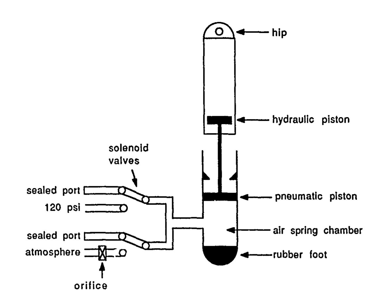 -4: schematic of the leg used in the planar biped machine. a