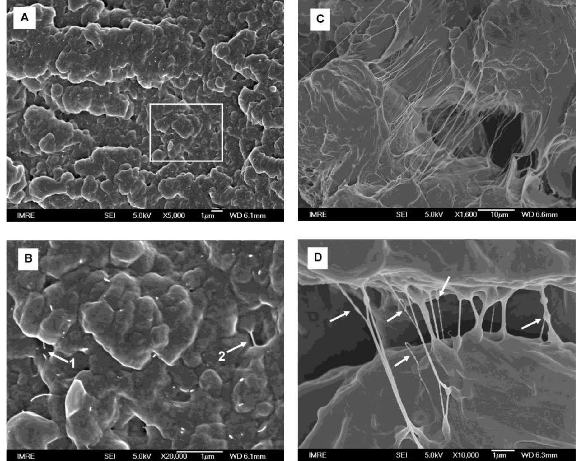 A) sem image showing an overall morphology of failure