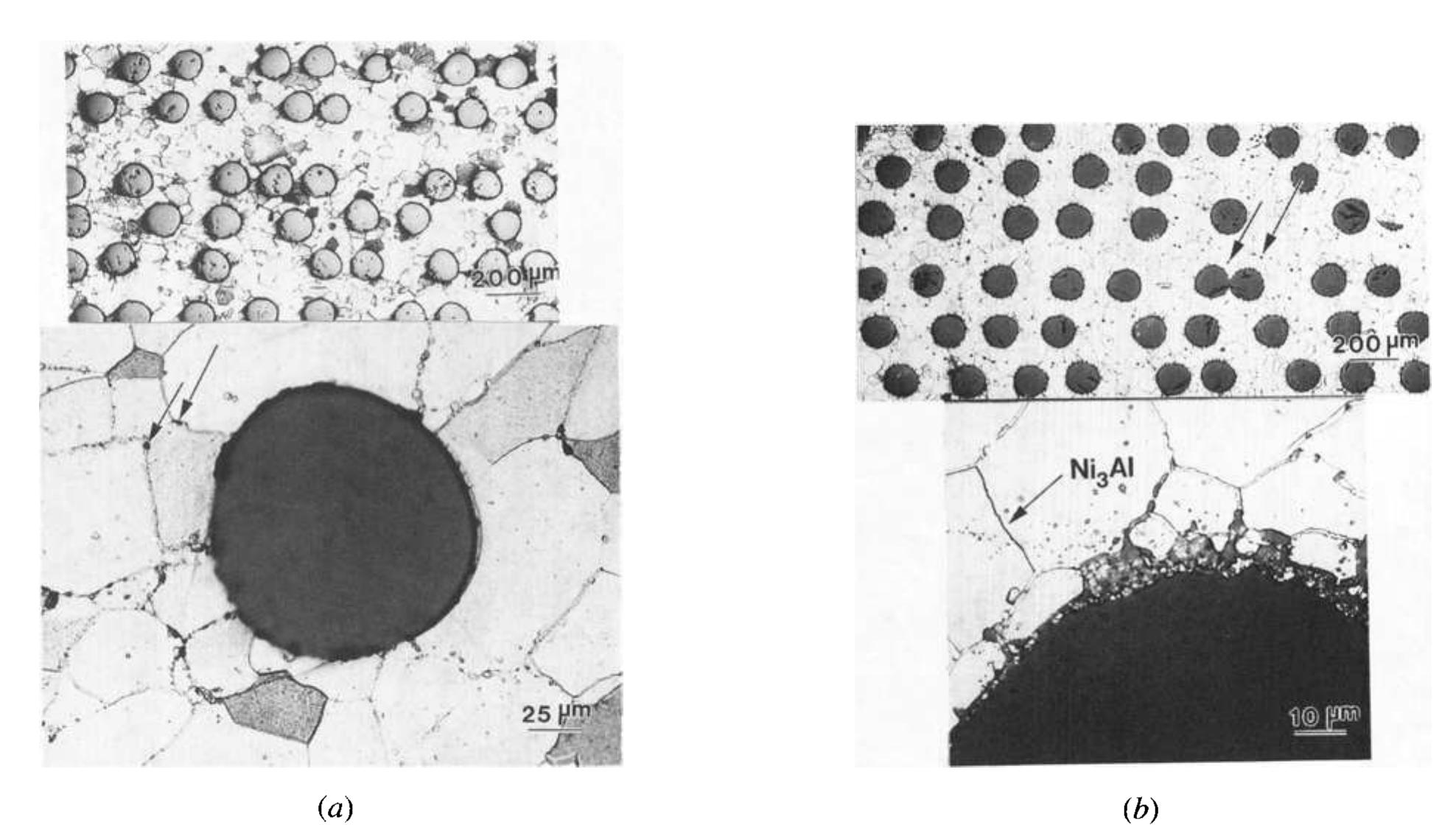 typical microstructures of the sapphire-fiber-reinforced