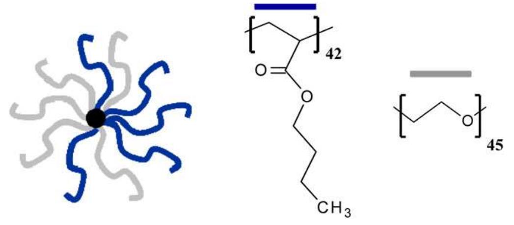 3. results and discussion fig. 1. schematic structure of