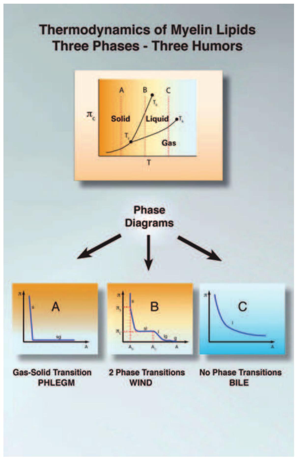 Schematic of thermodynamic phase diagram and corresponding