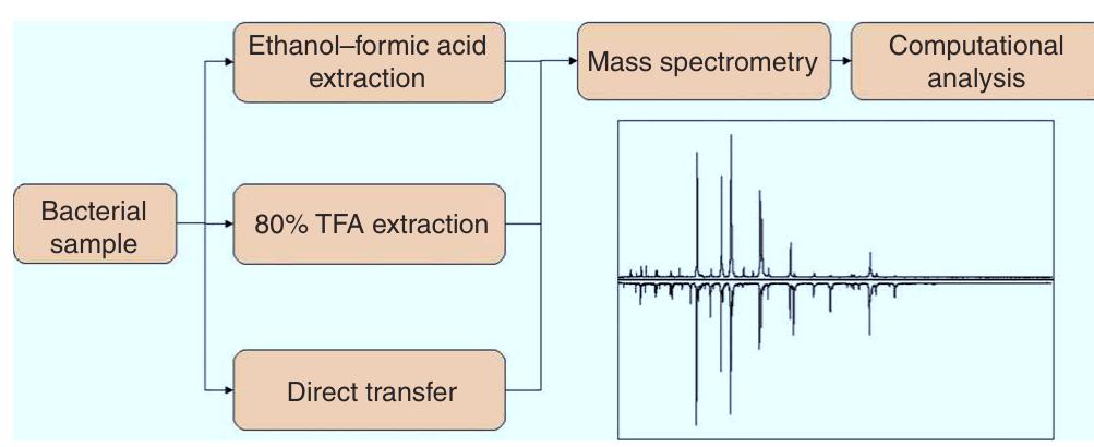 | a general overview of the procedure. a bacterial sample is