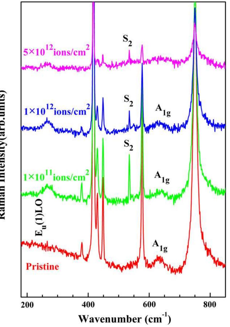 Raman spectra of pristine and irradiated sno2 thin films at
