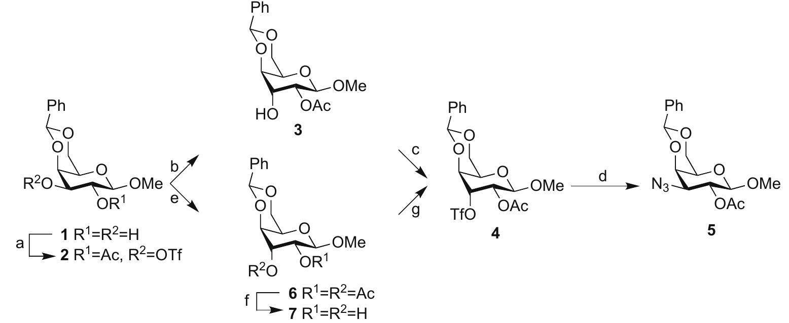 Reagents and conditions for routes 1 and 2: (a) i. tf20,