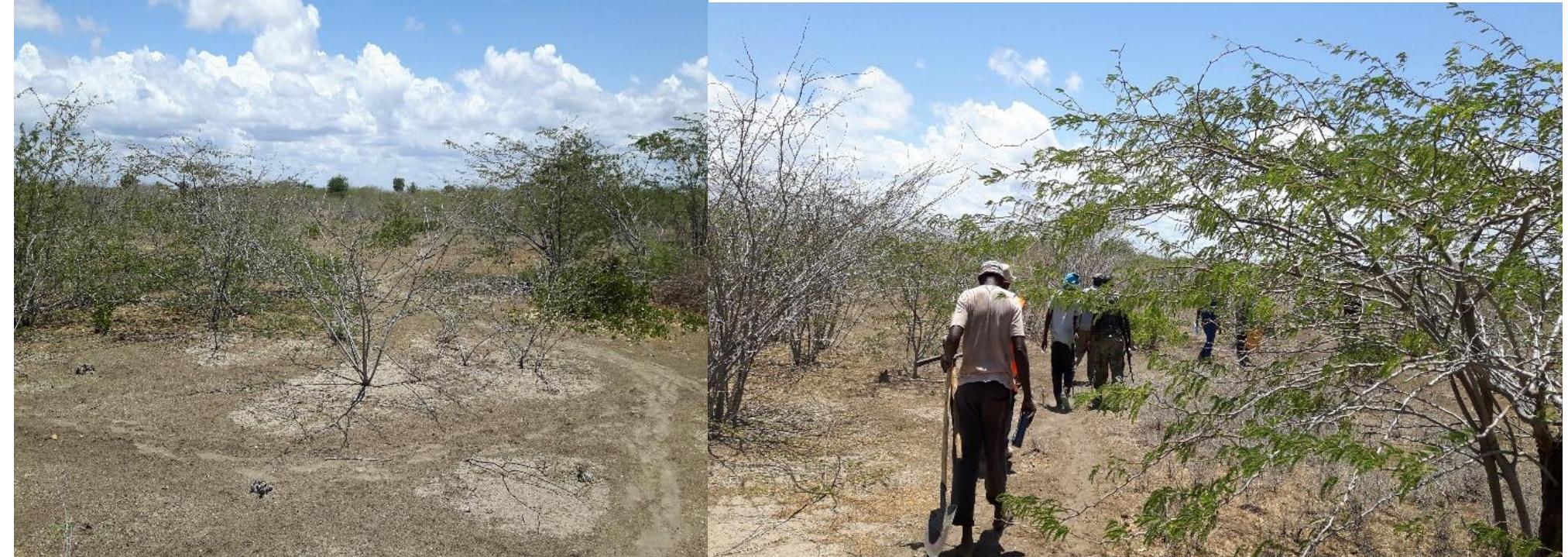The current state of the designated location of the baraawe