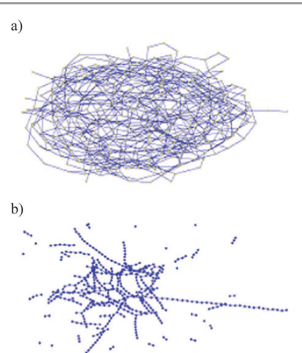 Figure 1 - Hydrogen bond network topology in liquid water
