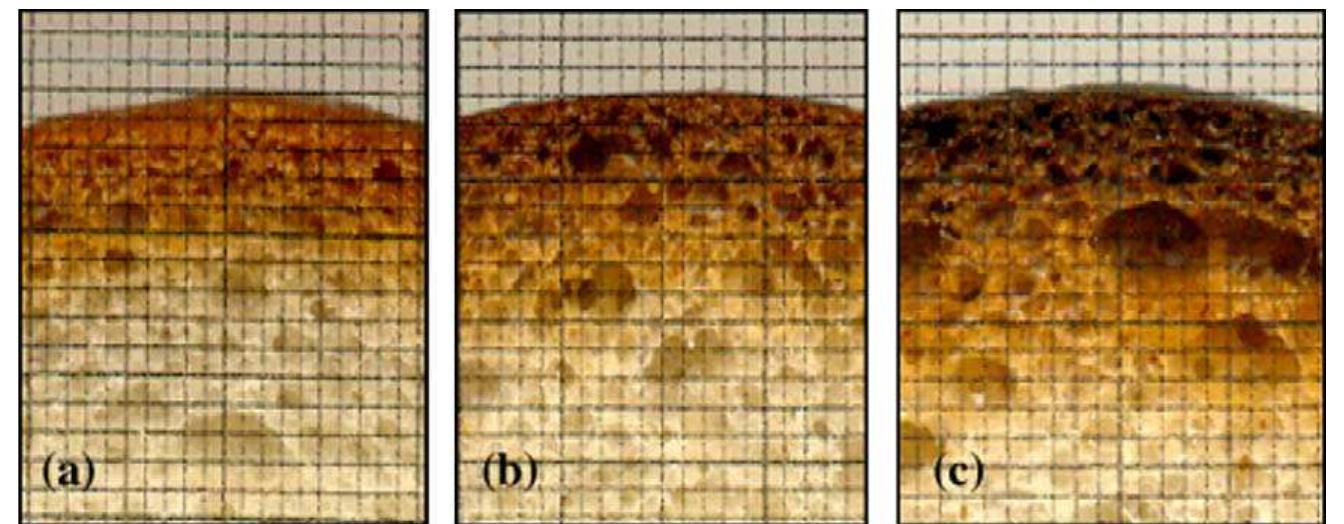 Scanned bread crust images depicting thickness of 6, 7, and