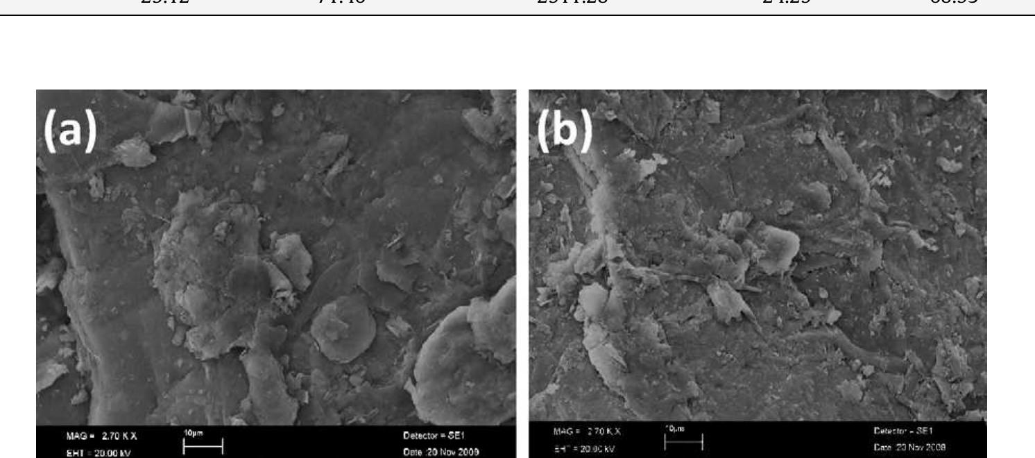 The sem micrographs of the form-stable composite pcms (a)
