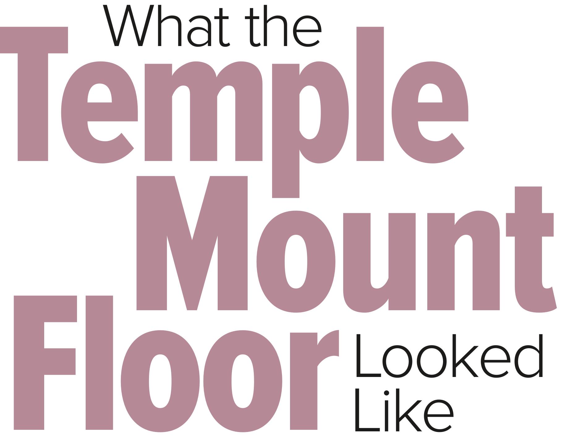 Frankie Snyder, Gabriel Barkay and Zachi Dvira, "What the Temple Mount ...