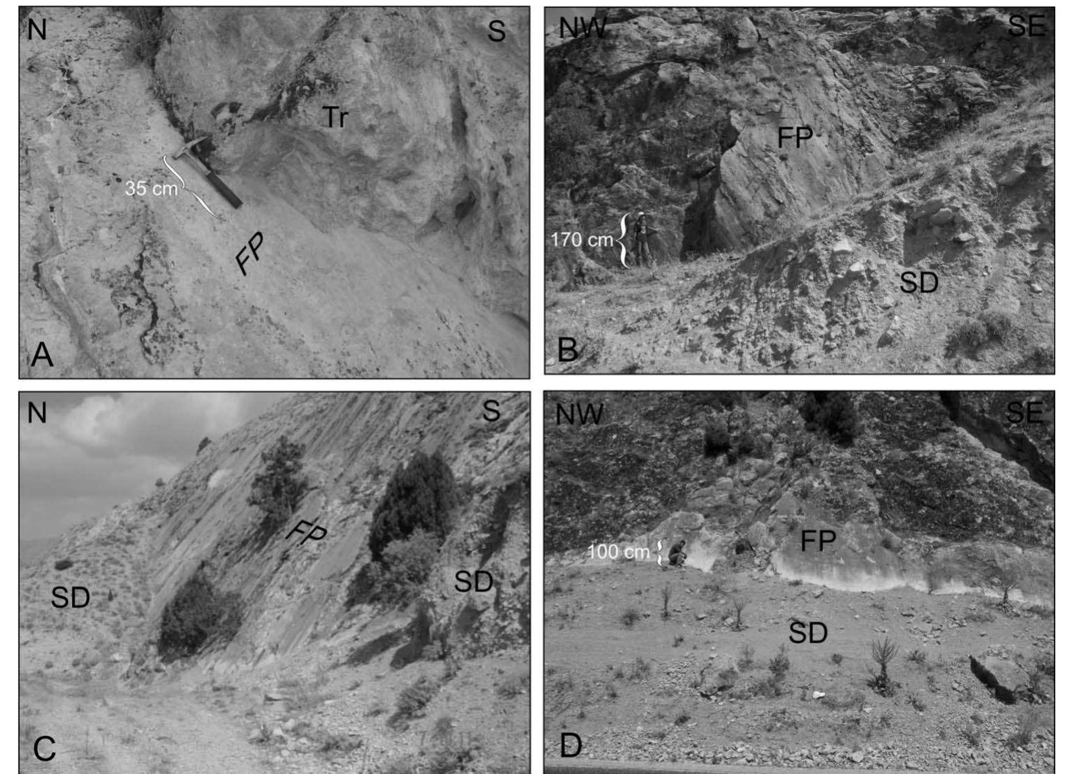 Examples of normal fault planes along the dinar fault. fp,