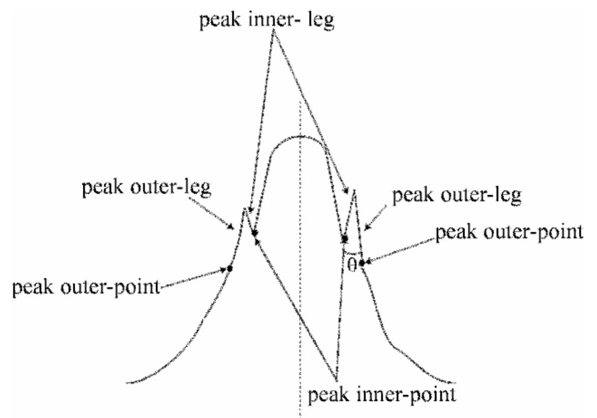 Illustration of the principle of defect detection in liao's