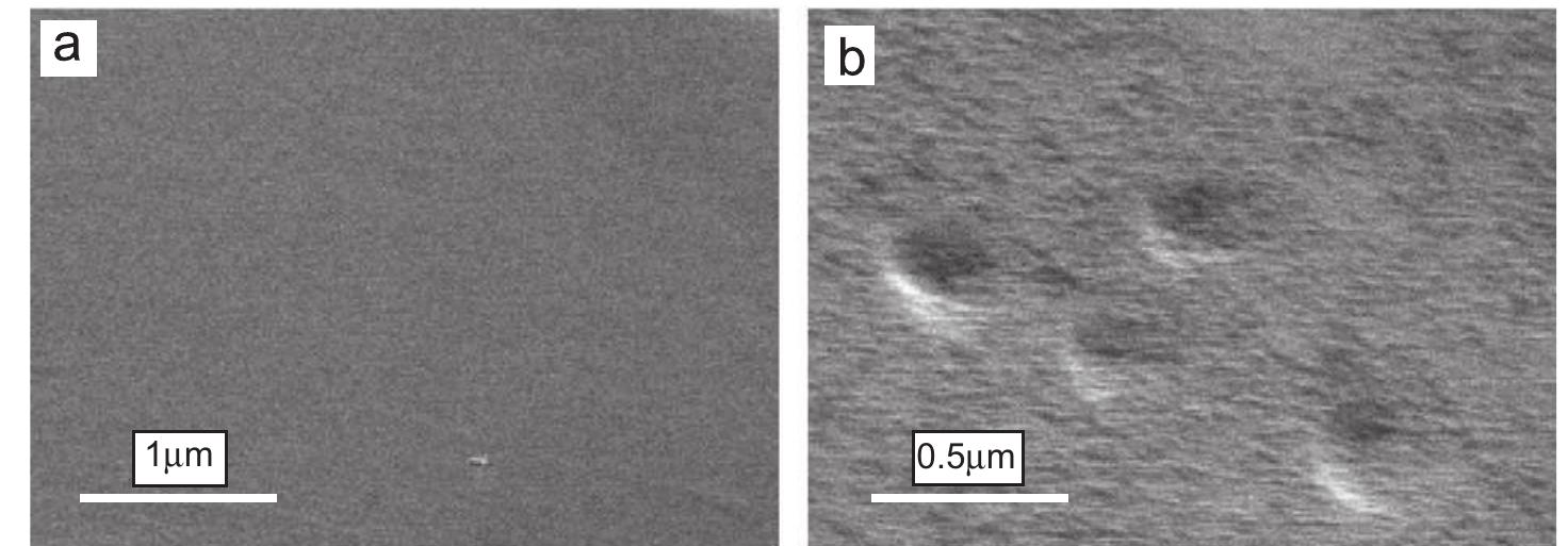 2 fig. 2. sem micrographs of: (a) sample y and (b) sample x