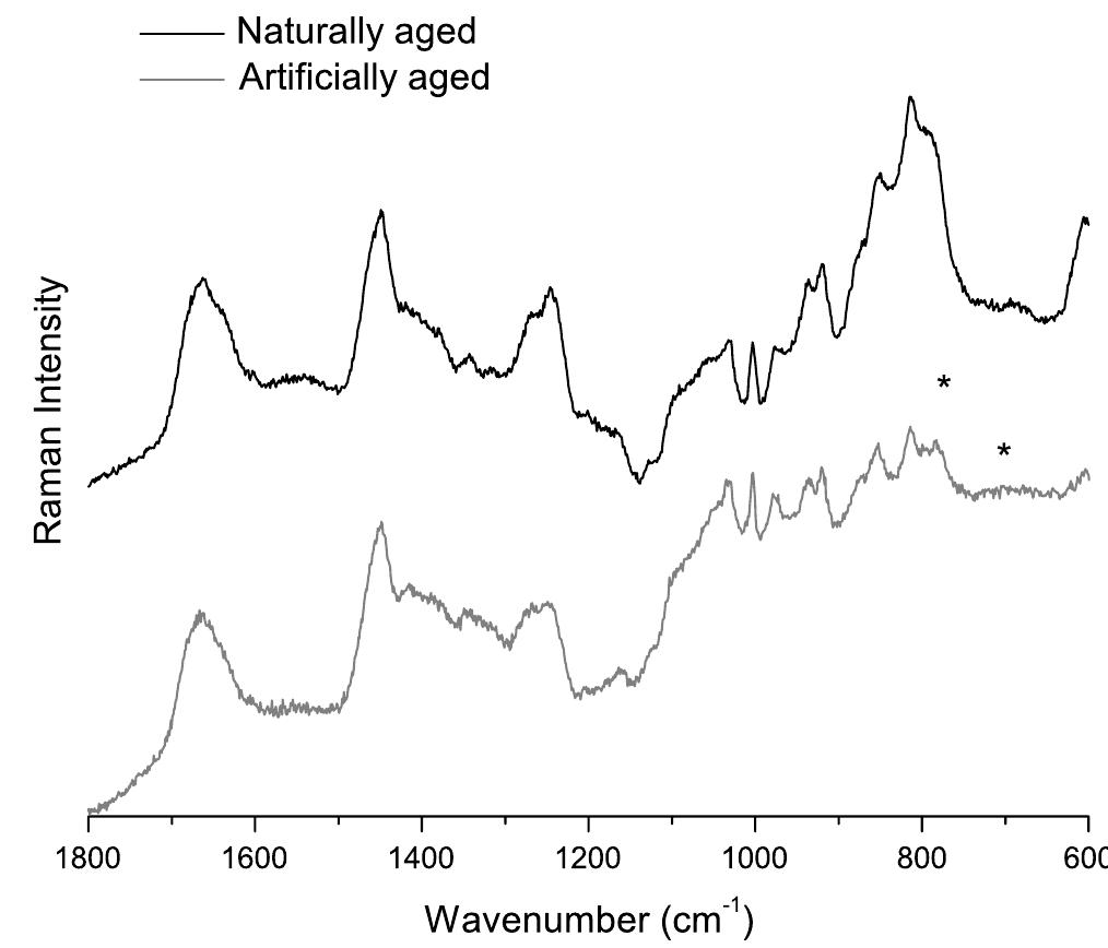 Raman spectra of films of collagen-based rabbit skin glue