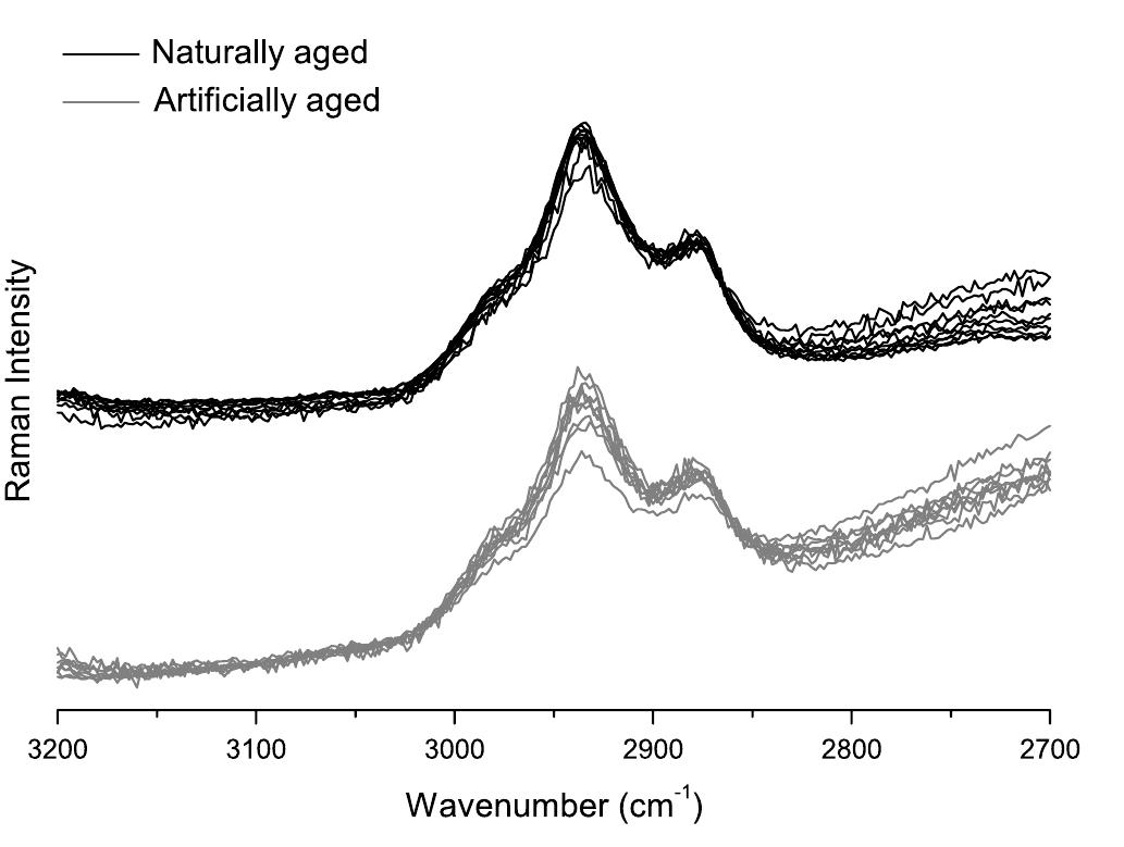 A set of 20 raman spectra of ox bone glue as a function of