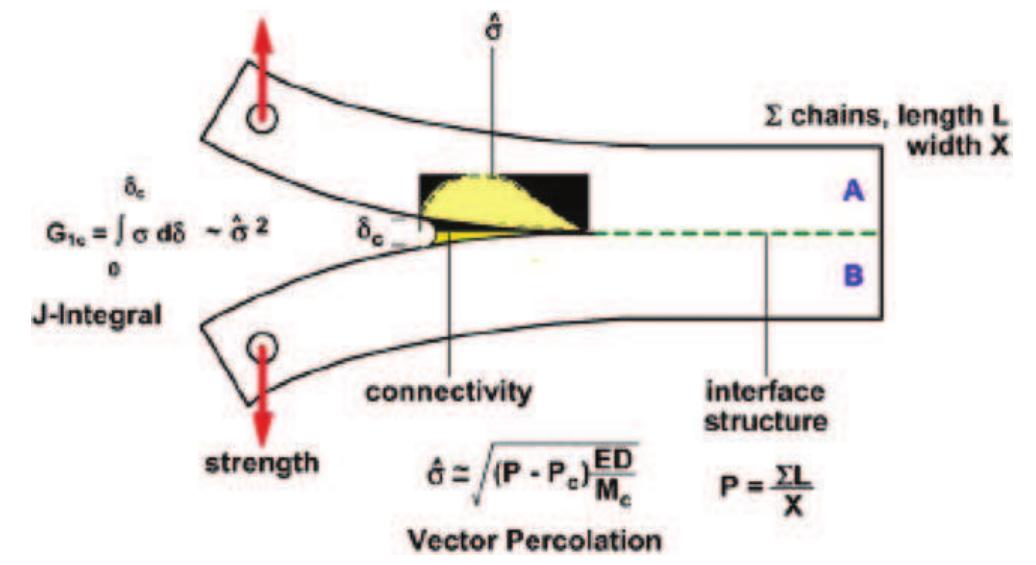 The microscopic entanglement structure, e.g. at an interface