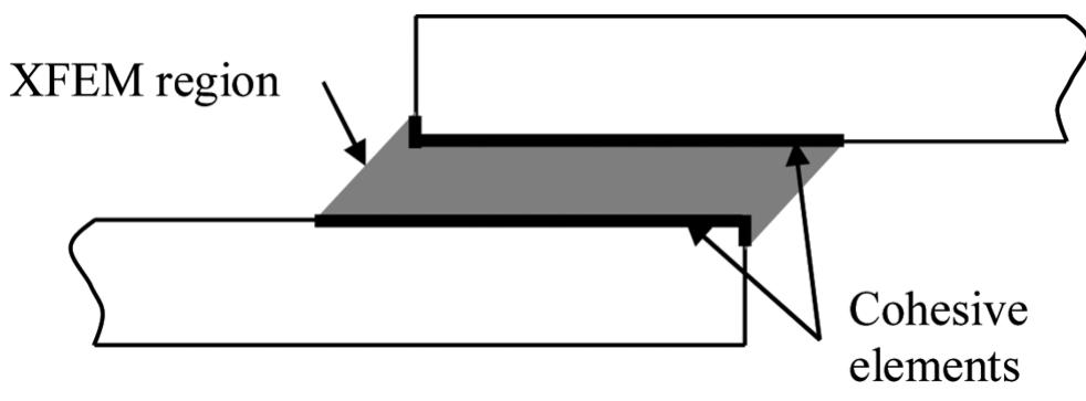 Regions of cohesive zone and xfem elements.
