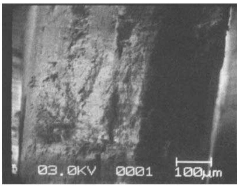 To gain insight into the mechanism of alkali/sorbent