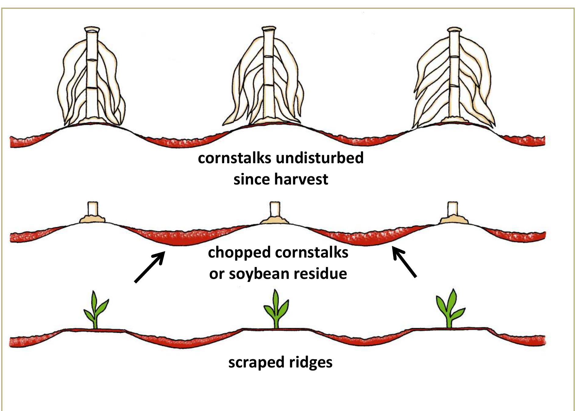 Source: adapted from introduction to ridge-tillage for corn