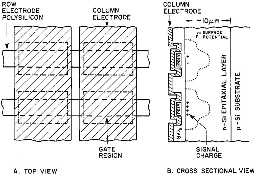 Element structure and layout for a cid image sensor. column